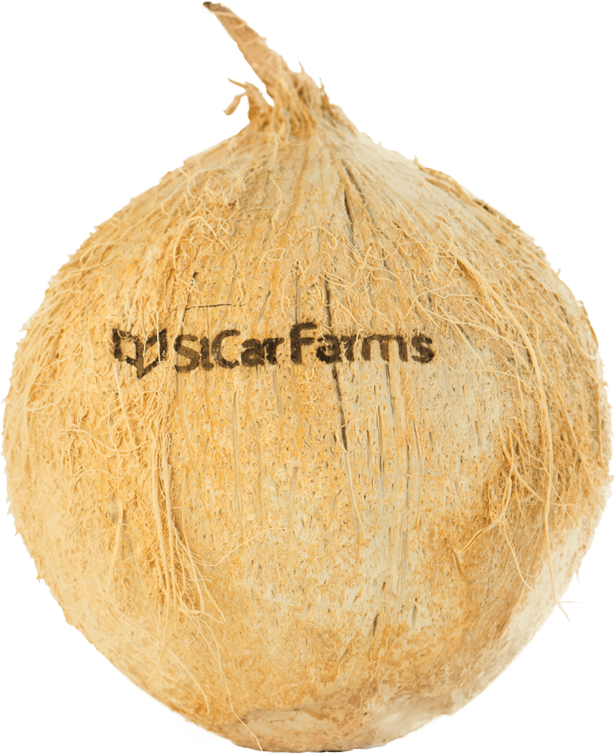 Coco Destopado - SiCarFarms